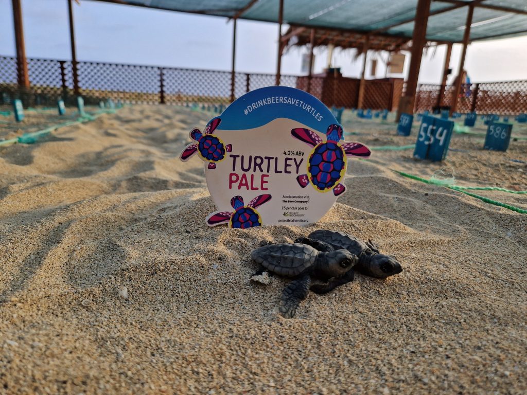 Turtle Beers - The Beer Company!